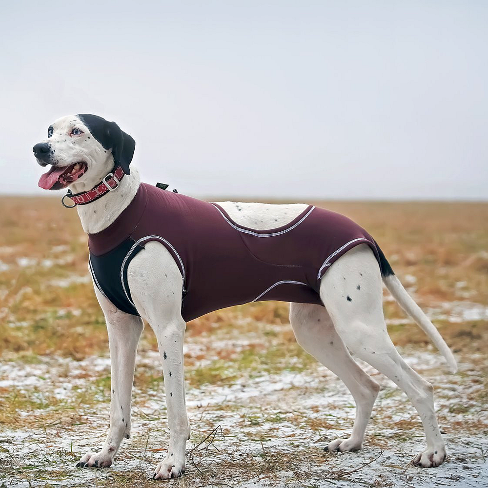 HDA Hybrid running jacket – Kuninkaan Lemmikki